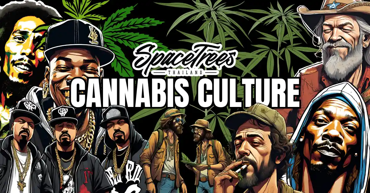 Exploring Cannabis Culture in Chiang Mai - Space Trees